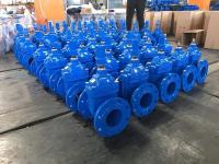 China Avaiable OEM Gate Valve BS515 DIN F4 F5 AWWA Rubber Seal Non Rising Stem Ductile Iron for sale