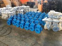 China Gate Valves DIN3352 F4 Cast Iron Resilient Seated Valve with Stainless Steel Trim for sale