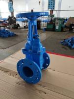 China Software Reengineering Non-Rising Ductile Iron Wedge Gate Valve with Rubber Seal Disc for sale
