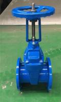 China Software Reengineering Non-Rising Ductile Iron Wedge Gate Valve with Rubber Seal Disc for sale