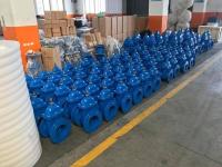China Avaiable OEM Water Media Resilient Wafer Lug Type Industrial Butterfly Valve Gate Valve for sale