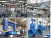 China Minyi J41H ss 304 Stainless Steel Flange End Hard Seal Stop Globe Valves and Fitting for sale