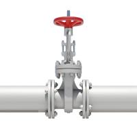 China Double Flange Swing Stainless Steel Gate Check Valve for Pn16 Cast Iron Ductile Iron for sale