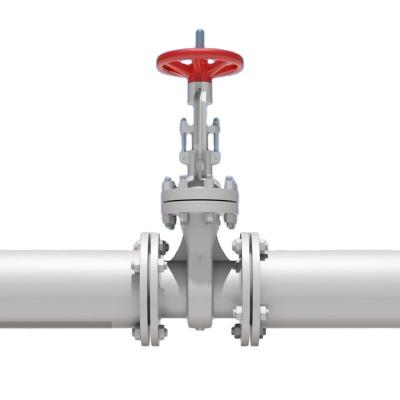 China Double Flange Swing Stainless Steel Gate Check Valve for Pn16 Cast Iron Ductile Iron for sale
