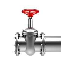 China Double Flange Swing Stainless Steel Gate Check Valve for Pn16 Cast Iron Ductile Iron for sale