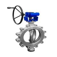 China Double Flange Swing Stainless Steel Gate Check Valve for Pn16 Cast Iron Ductile Iron for sale