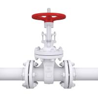 China OEM Port Size Customized Service Pn16 Cast Iron Ductile Iron Flanged Swing Check Valve for sale