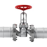 China Stainless Steel Pn25 DN 50 Wafer Lift Single Plate Swing Check Valve for Drain Valve for sale