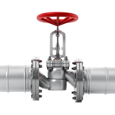 China Stainless Steel Pn25 DN 50 Wafer Lift Single Plate Swing Check Valve for Drain Valve for sale