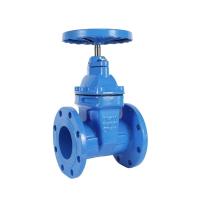 China Customized 3 Inch PN16 PN25 Steel Carbon Steel Rising Stem Water Manual Gate Valve Drain Valve for sale