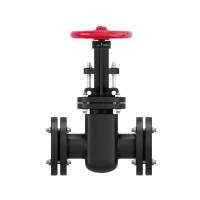 China Customized 3 Inch PN16 PN25 Steel Carbon Steel Rising Stem Water Manual Gate Valve Drain Valve for sale