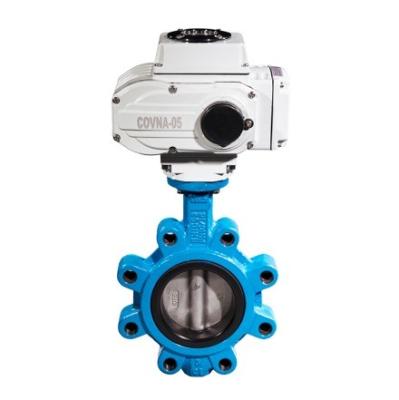 China Customized Support ODM Manual Stainless Steel Worm Gear Lug Butterfly Sanitary Valve for sale