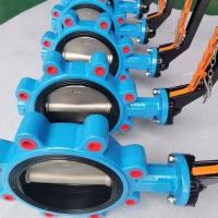 China Customized Support ODM Manual Stainless Steel Worm Gear Lug Butterfly Sanitary Valve for sale