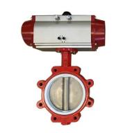 China Customized Support ODM Manual Stainless Steel Worm Gear Lug Butterfly Sanitary Valve for sale