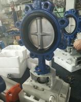 China Customized Support ODM Manual Stainless Steel Worm Gear Lug Butterfly Sanitary Valve for sale