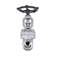 China Complete Certificate Safety Relief Valves and Fitting for Low Temperature Applications for sale