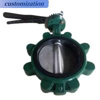 China Ss304 Center Line Diaphragm Butterfly Valve With Handwheel Stainless Steel Worm Gear Lug for sale