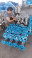 China Sales Y Type Stainless Steel Gate Valve with Manual Operation and Metal or Rubber Seal for sale