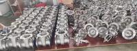 China Long Manual Gate Valves Ss Body and Disc for Flanged/Welded Full Bore Applications for sale