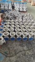 China CF8 Stainless Steel Flanged End Gate Valve for Industrial Y Type Strainer Filtration for sale