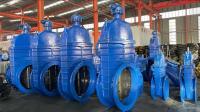 China Cast Iron GGG50 Non Rising Stem Resilient Seated Gate Valve for Customized Port Size for sale