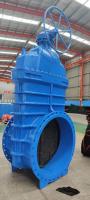 China Cast Iron GGG50 Non Rising Stem Resilient Seated Gate Valve for Customized Port Size for sale