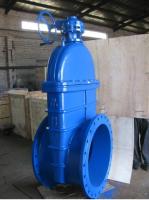 China Cast Iron GGG50 Non Rising Stem Resilient Seated Gate Valve for Customized Port Size for sale