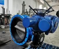 China ANSI DIN BS Standard Double Flange Butterfly Valve for Customized Applications for sale