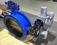 China Water System Best Seller Double Flanged Connect Butterfly Valve with Replaceable Seat for sale