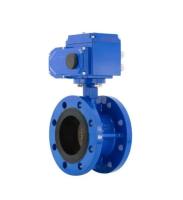 China Water System Best Seller Double Flanged Connect Butterfly Valve with Replaceable Seat for sale