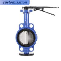China OEM Port Size Lever Operated Full PTFE Lined Concentric DIN BS Control Butterfly Valve for sale