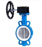 China DI/SS/WCB Soft Seated Concentric Wafer Type Butterfly Valve with Customizable Options for sale