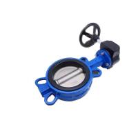 China Customized Ductile Iron Resilient Seated Wafer/Lug Type Butterfly Valve OEM Port Size for sale