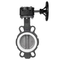 China Customized Ductile Iron Resilient Seated Wafer/Lug Type Butterfly Valve OEM Port Size for sale