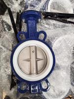China Customized Ductile Iron Resilient Seated Wafer/Lug Type Butterfly Valve OEM Port Size for sale