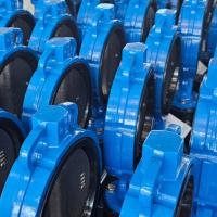 China Customized Ductile Iron Resilient Seated Wafer/Lug Type Butterfly Valve OEM Port Size for sale