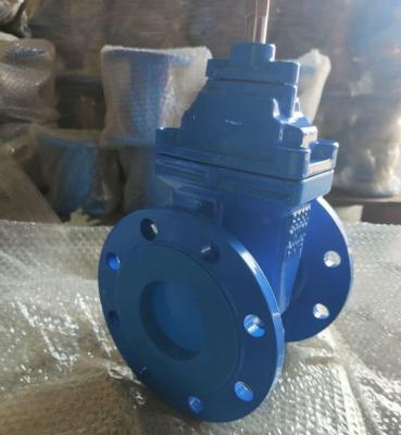 China Customized Ductile Cast Iron Gate Valve With Rubber Seat Parallel Slide for Water Media for sale