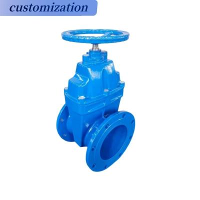 China Customized Ductile Cast Iron Gate Valve with Rubber Seat Standard Compliance Guaranteed for sale