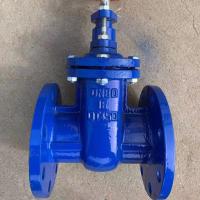 China Durable Medium Temperature Y Type Strainer Cast Iron Brass Seal Metal Seat Gate Valve for sale