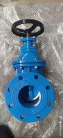 China Durable Medium Temperature Y Type Strainer Cast Iron Brass Seal Metal Seat Gate Valve for sale