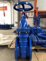 China DN32 CI Metal Seat Flange Cast Iron Soft Seal Rising Stem Stainless Steel Wcb Gate Valve for sale
