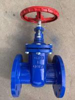 China DN32 CI Metal Seat Flange Cast Iron Soft Seal Rising Stem Stainless Steel Wcb Gate Valve for sale