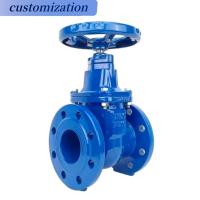 China DN32 CI Metal Seat Flange Cast Iron Soft Seal Rising Stem Stainless Steel Wcb Gate Valve for sale