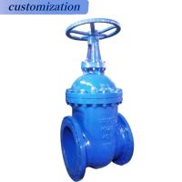 China DN32 CI Metal Seat Flange Cast Iron Soft Seal Rising Stem Stainless Steel Wcb Gate Valve for sale