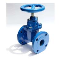 China SS Body Material Pn16 DN50 DN600 Flange Cast Iron Wedge Gate Valves for Products for sale