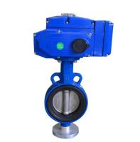 China Customized Ductile Iron Stainless Steel Body Wafer Lug Butterfly Valve for Industrial for sale