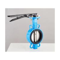 China Replaceable Rubber Liner Double Shaft Wafer Type Butterfly Valve for Water Media for sale
