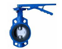 China Replaceable Rubber Liner Double Shaft Wafer Type Butterfly Valve for Water Media for sale