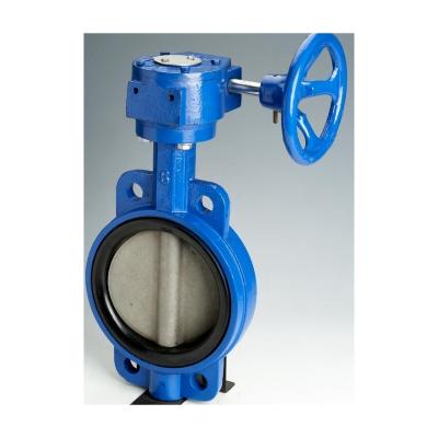 China OEM Cast Iron Wormgear Operator Double Flange EPDM/NBR Seat Stainless Steel Disc Lug Wafer Butterfly Valve for sale