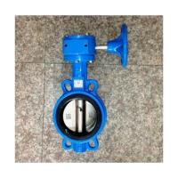 China OEM Cast Iron Wormgear Operator Double Flange EPDM/NBR Seat Stainless Steel Disc Lug Wafer Butterfly Valve for sale